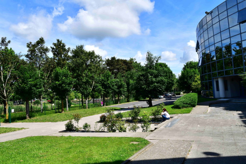 Les Formations de l'EBI - École de Biologie Industrielle