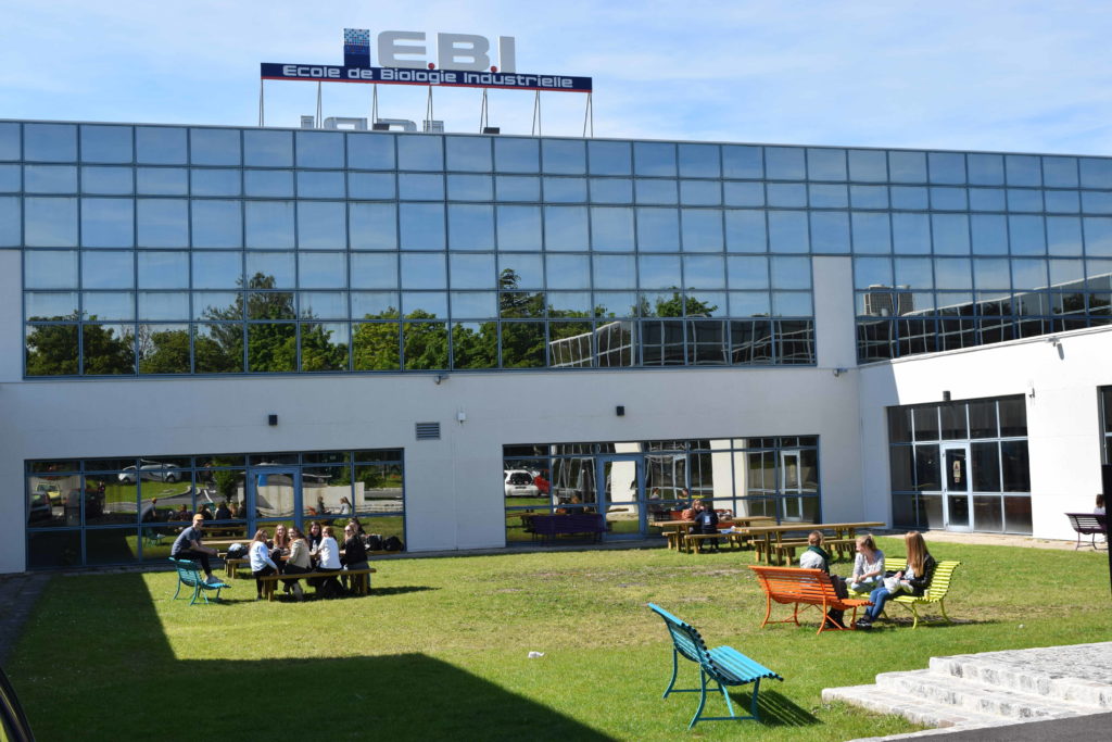 Les Formations de l'EBI - École de Biologie Industrielle