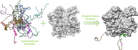 Coup de cœur recherche : le docking moléculaire